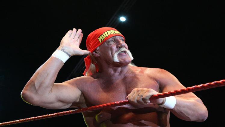 Hulk Hogan Net Worth, Wiki, Biography, Age, House More - Saverudata.info